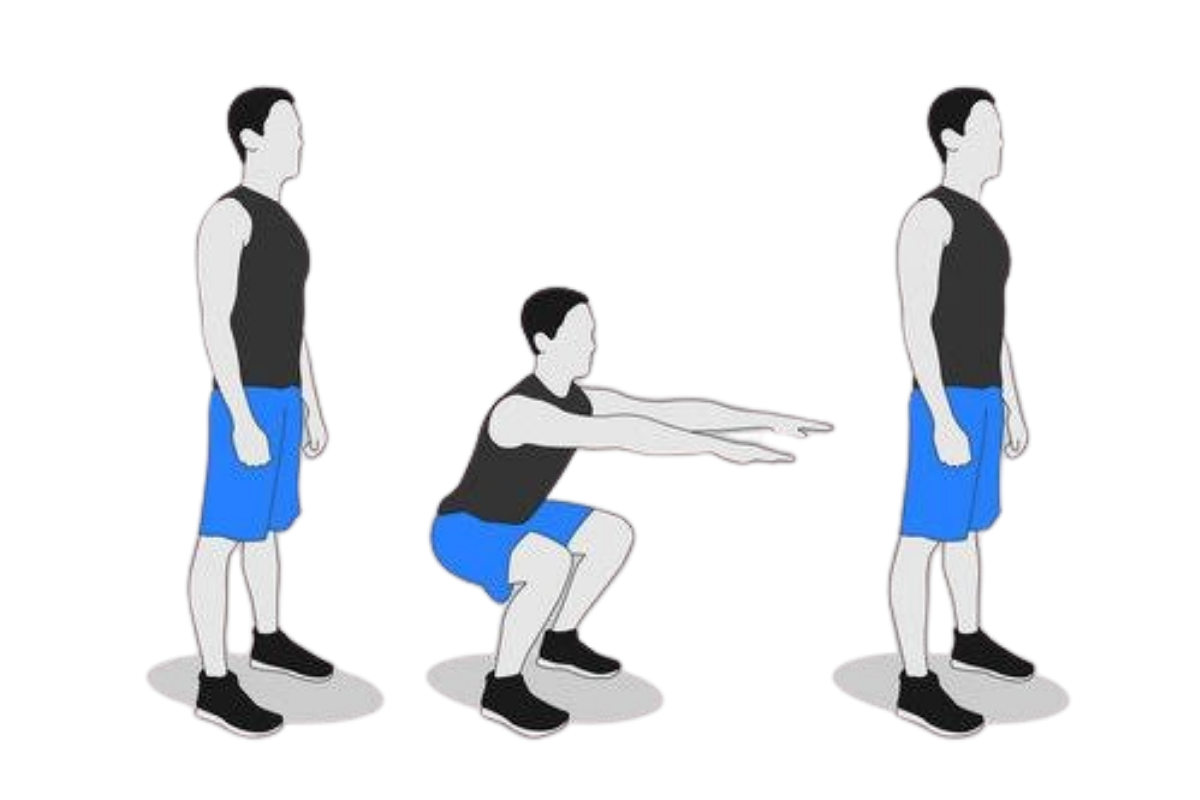Squat Exercise Benefits: A Cornerstone of Fitness - Health and Human ...